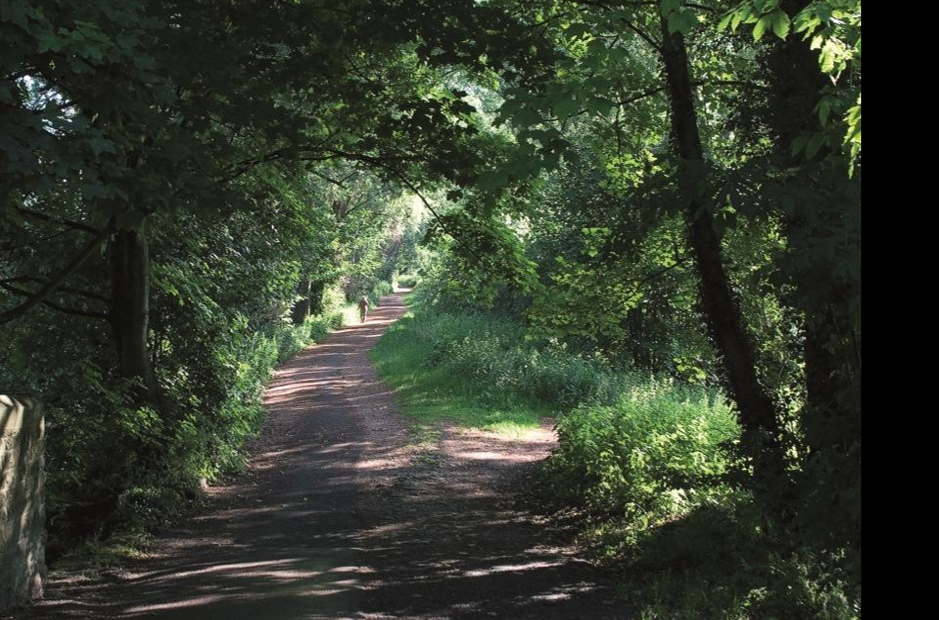 medieval meadows – Oxford Medieval Studies